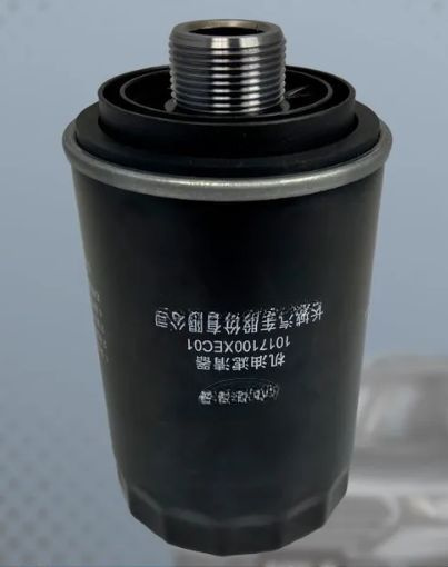 Фильтр масляный Haval H6, H8, H9, F7, F7x 2,0L арт 1017100AEC01 Haval ...