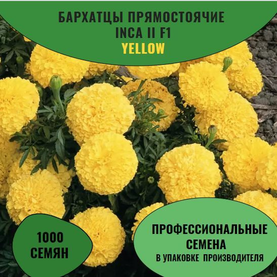 Бархатцы Syngenta Marigold African_желтый - купить по выгодным ценам в ...