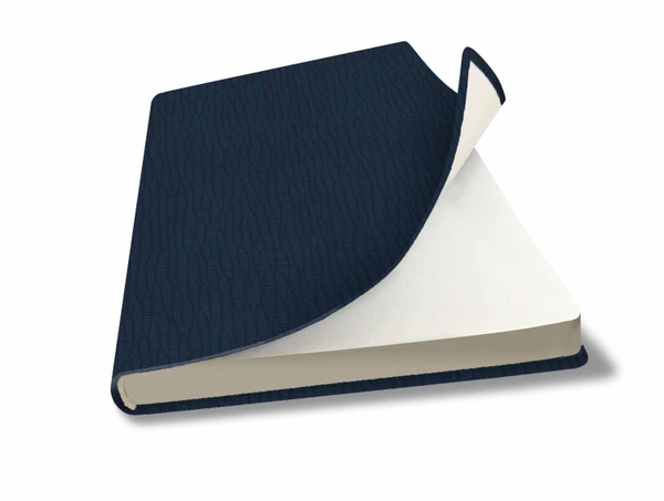 Ежедневник недатированный Zebra FLEX A5 синий, 256 страниц ...