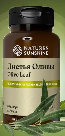 Листья оливы НСП/Olive Leaf NSP - купить с доставкой по выгодным ценам ...