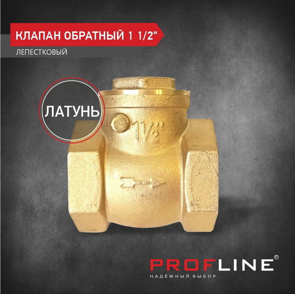 Клапан обратный 1 1/2" (лепестковый) PROFLINE купить на OZON по низкой цене (1649038777)
