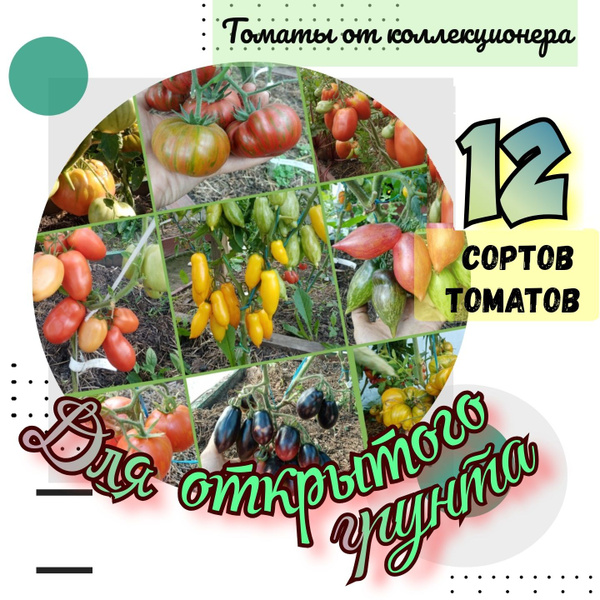 Разнообразные овощи коллекционные - купить по выгодным ценам в интернет ...