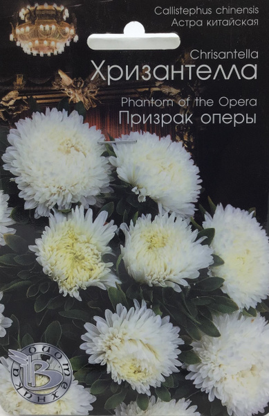 Биотехника Астра китайская Хризантелла Призрак оперы - купить по ...