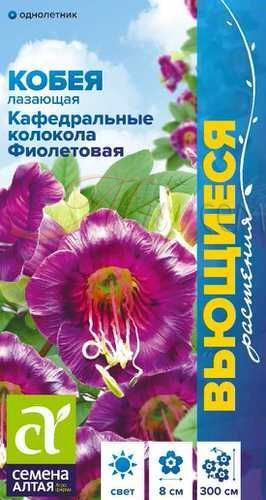 Кобея Семена Алтая ВиолаСемАлт - купить по выгодным ценам в интернет ...