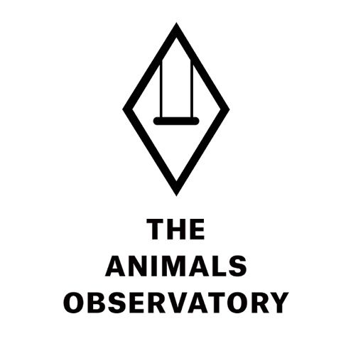 The Animal Observatory — купить товары The Animal Observatory в ...