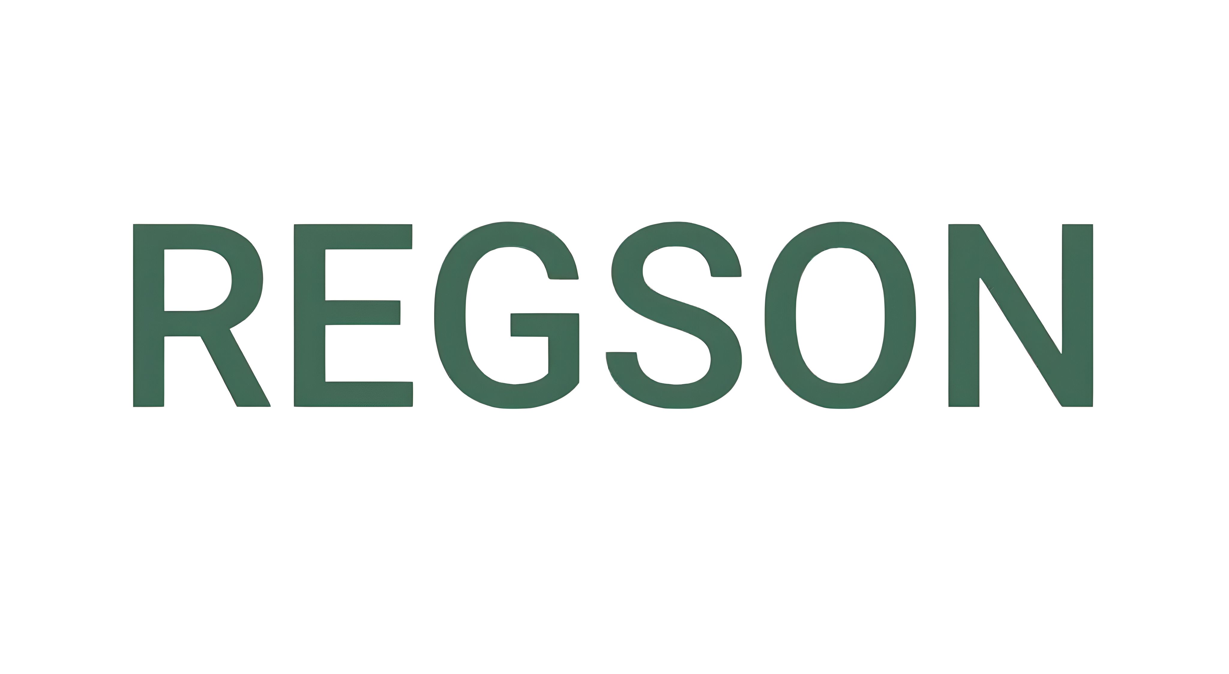 REGSON — купить товары REGSON в интернет-магазине OZON