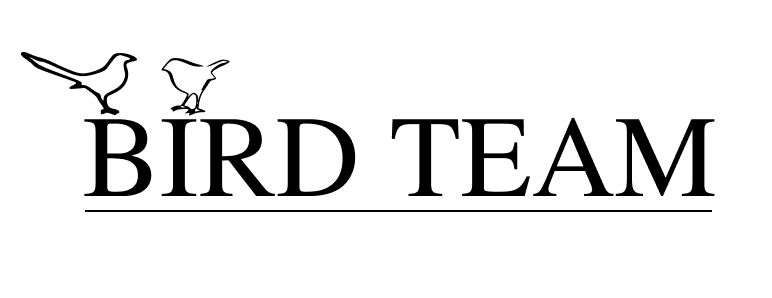Bird Team — купить товары Bird Team в интернет-магазине OZON