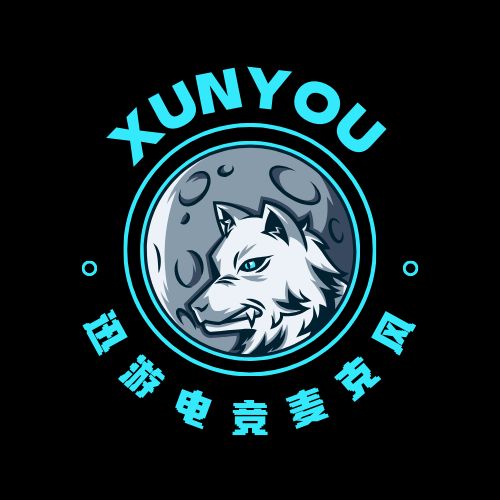 Xunyou — купить товары Xunyou в интернет-магазине OZON