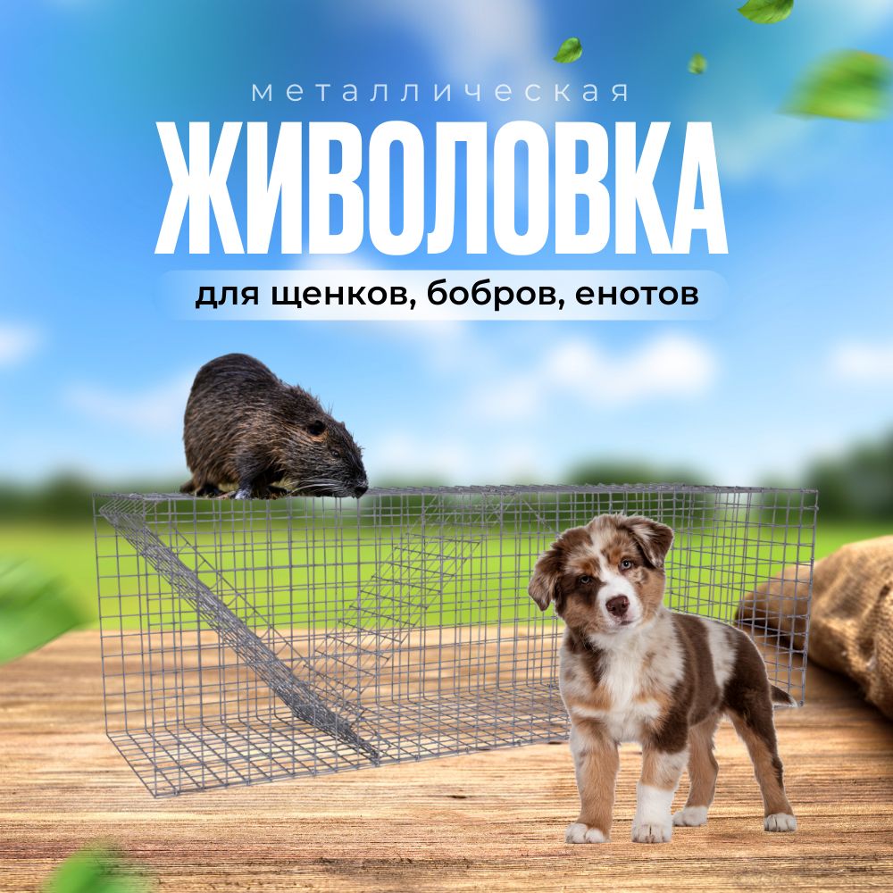 Кошколовка Котоловка купить на OZON по низкой цене