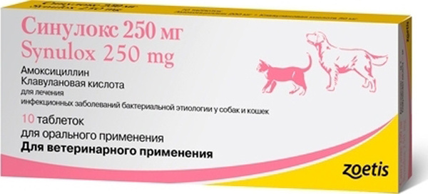 Синулокс 250 мг, 10 табл - купить с доставкой по выгодным ценам в ...