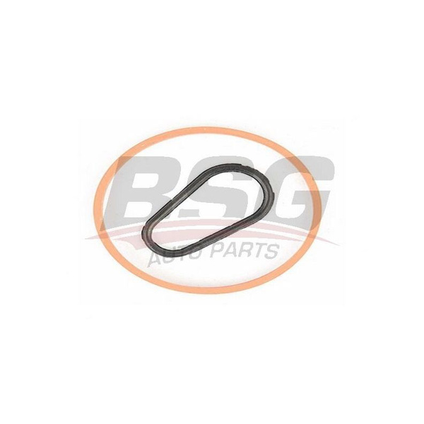 Комплект уплотнительных колец вакуумного насоса (2 шт.) / FORD,CITROEN ...