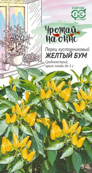 153385 - купить по выгодным ценам в интернет-магазине OZON (1691613947)