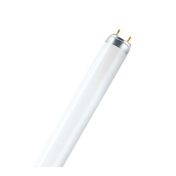 Люминесцентная (энергосберегающая) Лампочка OSRAM G13 Труба 950 Лм 4000 ...