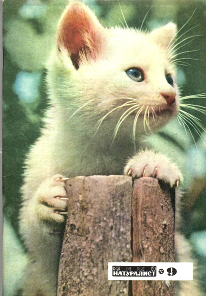 Журнал "Юный натуралист" №9, 1972 купить на OZON по низкой цене (500159972)