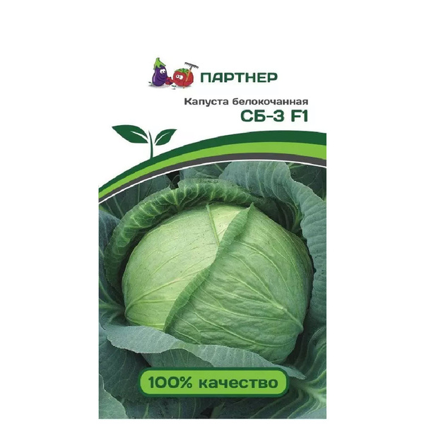 Капуста ПАРТНЁР СБ-3 F1 Капуста белокочанная среднеспелая - купить по ...