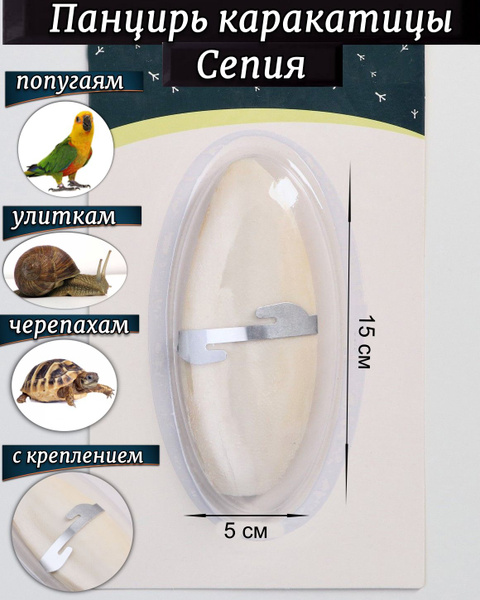 Панцирь каракатицы, 15 см/сепия для птиц, попугаев, улиток, черепах с ...