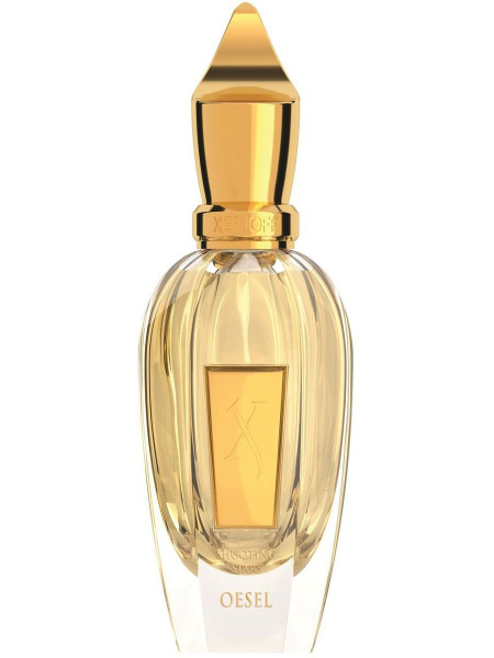 Xerjoff Xerjoff Shooting Stars Oesel Духи 50 мл (1584905166)