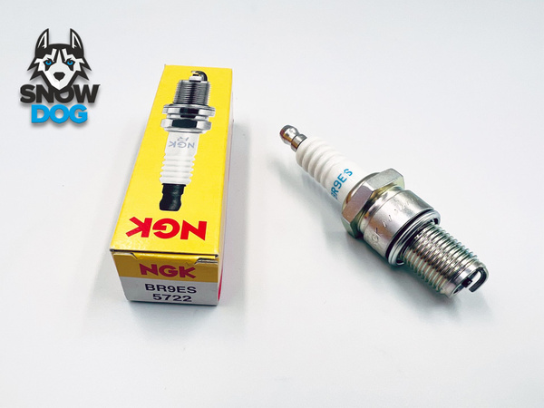 Свеча зажигания NGK 5722 BR9ES - купить по выгодным ценам в интернет ...
