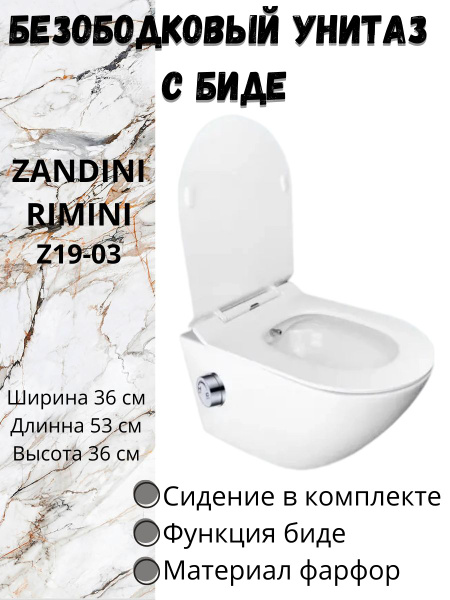 Подвесной унитаз Zandini, направление выпуска: Горизонтальное (в стену), Z19-03 - купить по ...
