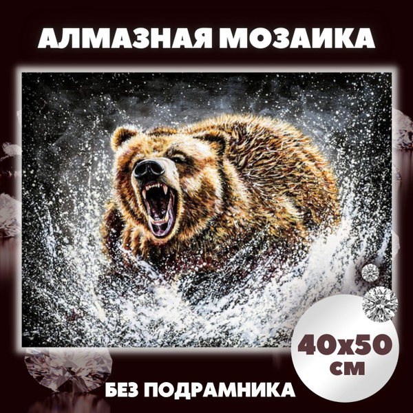 BILMANI Алмазная мозаика (вышивка) БЕЗ ПОДРАМНИКА 40х50 полная выкладка ...