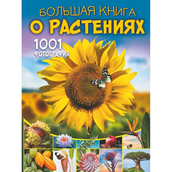 Большая книга о растениях. 1001 фотография. - купить с доставкой по ...