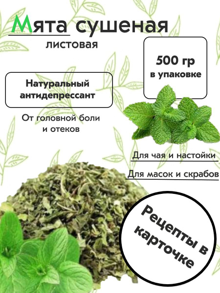 Марокканская сушеная мята для чая. Мятный чай для заваривания в чайнике ...