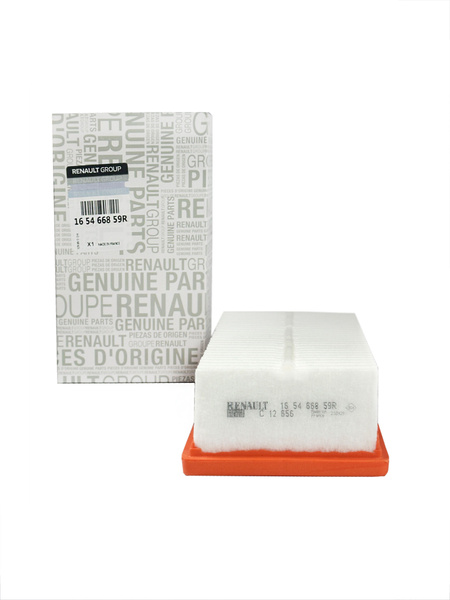 Фильтр воздушный REN 165466859R - купить по выгодным ценам в интернет ...