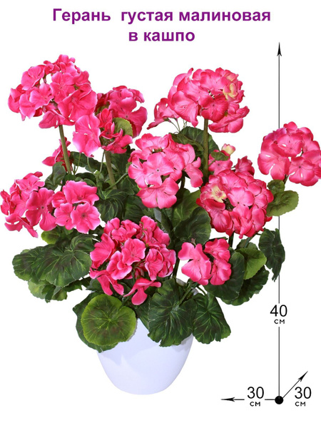 Купить Искусственные цветы Герань малиновая густая в белом кашпо ...