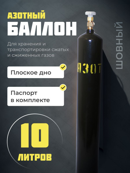Баллон азотный 10л Ярпожинвест купить на OZON по низкой цене (966035851)