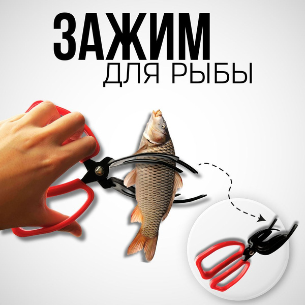 Зажим рыболовный захват для рыбы - купить по выгодной цене в интернет ...