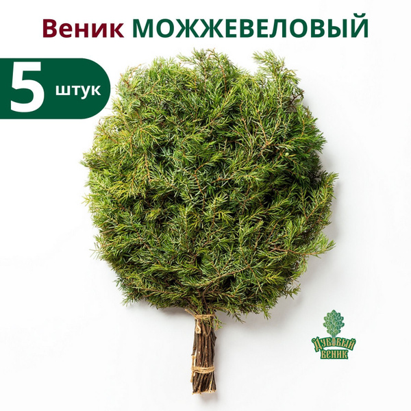 Дубовый Веник Веник для бани Можжевеловый, 5 шт. - купить с доставкой ...