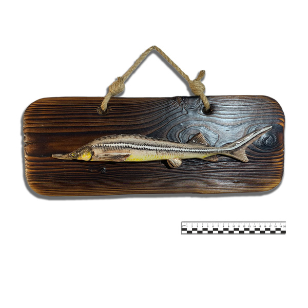 Украшение настенное интерьерное Настенная статуэтка осетра исп 5 купить по доступным ценам в