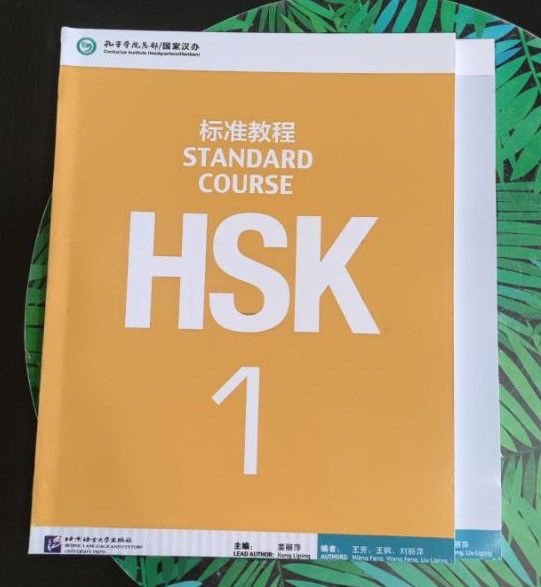 HSK Standard Course 1 Class Book | Wang Feng купить на OZON по низкой ...