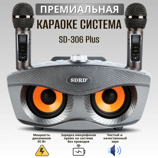 Караоке система беспроводная с двумя микрофонами SDRD SD-306 Plus ...