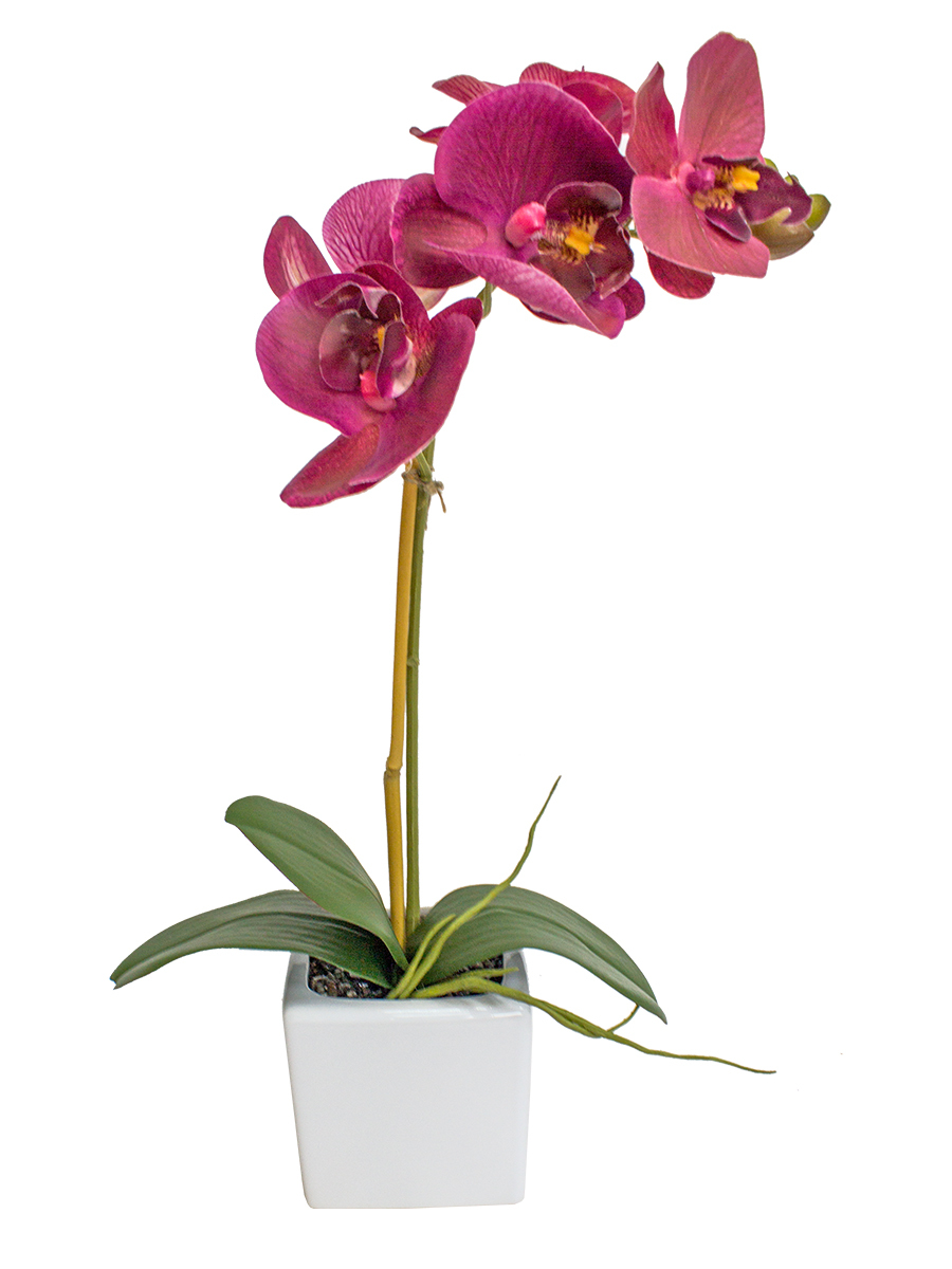Характеристики Искусственные цветы Орхидея в горшке / Декоративные ...