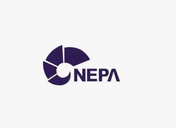 Nepa — купить товары Nepa в интернет-магазине OZON