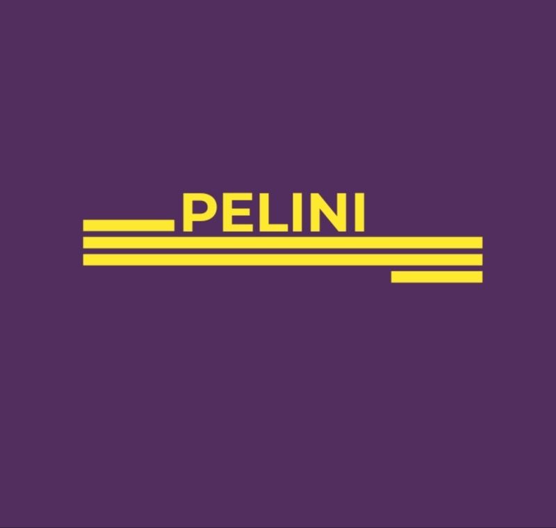 PELINI — купить товары PELINI в интернет-магазине OZON