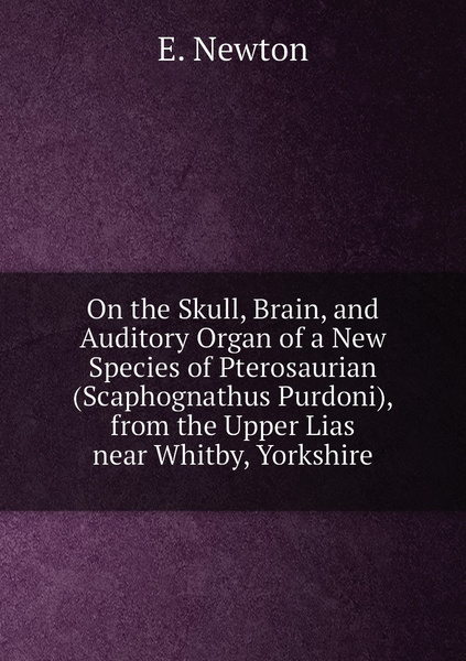 On the Skull, Brain, and Auditory Organ of a New Species of ...