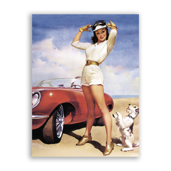 Плакат Ананас Постер Девушки купить по выгодной цене в интернет-магазине OZON (504848116)