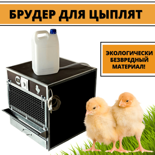 Брудер для цыплят бройлеров, перепелов, несушек, Комфорт МИНИ ...