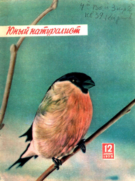 Журнал "Юный натуралист" №12 1959 | Нет автора - купить с доставкой по выгодным ценам в интернет ...