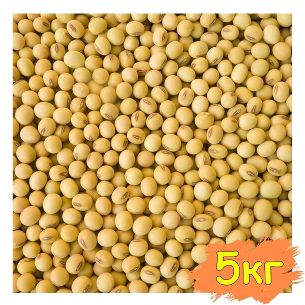 Соя для проращивания, для тофу, Вегетарианский продукт, Vegan 5 000 гр ...