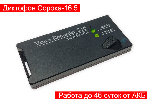 Диктофон Labi2 Сорока-16.5, WAV купить по выгодной цене в интернет ...