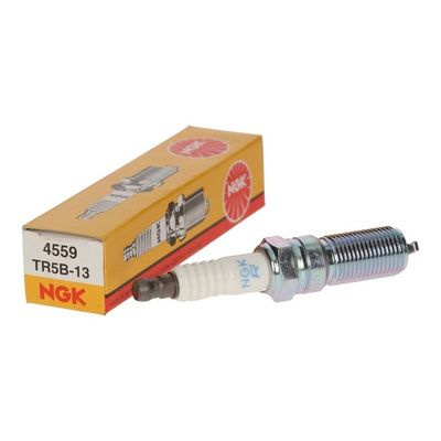 Свеча зажигания, 1 шт. NGK TR5B-13 (4559) - Ford Focus, Mondeo, C-Max ...