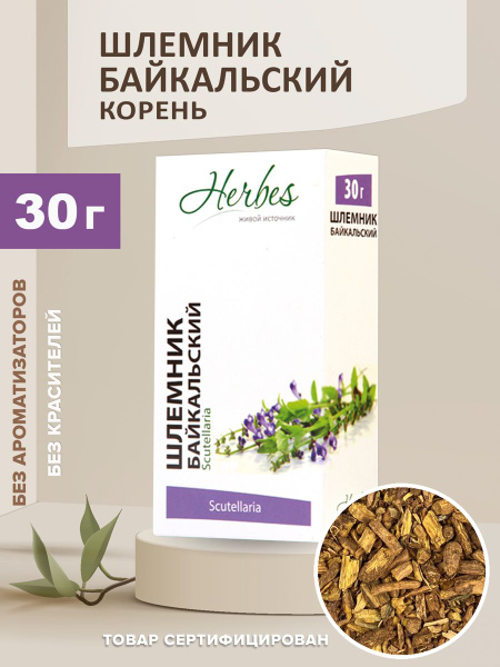 Травяной сбор Шлемник байкальский корень, 30гр. - купить с доставкой по ...
