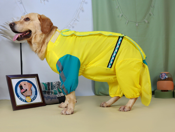 Дождевик-комбинезон Rexy crew "Комфорт" для собак средних и крупных пород, цвет голубой, размер ...