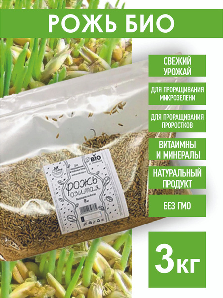 Рожь Семена ржи, 3 кг. для проращивания, микрозелени, проростков ...