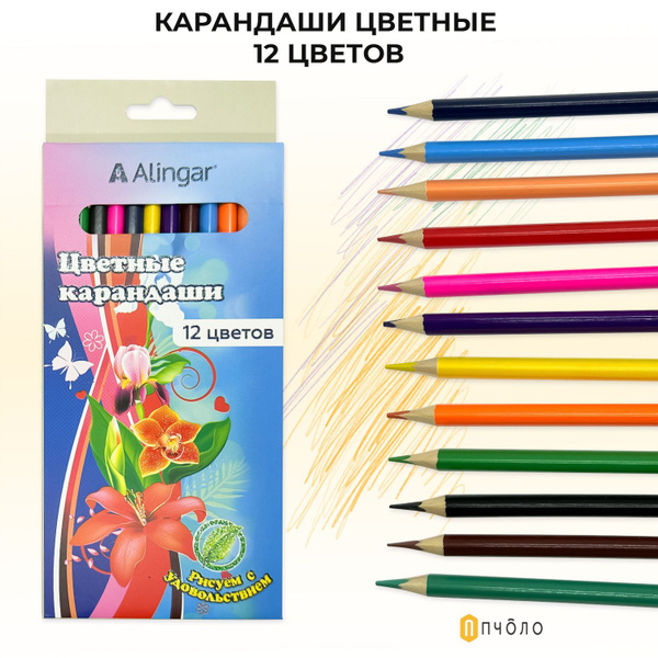 Набор карандашей ПЧОЛО / 12 цветов Alingar, "Цветочный сад", голубой ...