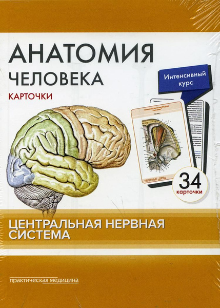 Анатомия человека. Центральная нервная система - купить с доставкой по ...