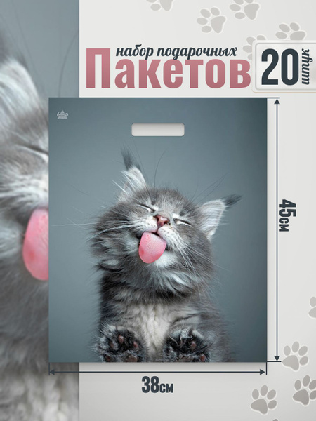 Пакет подарочный Кот 20 шт с ручками / упаковка для подарка на день ...